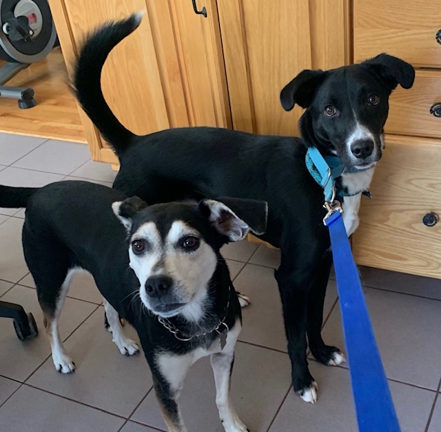 About – Deb’s Early Childhood Literacy Program